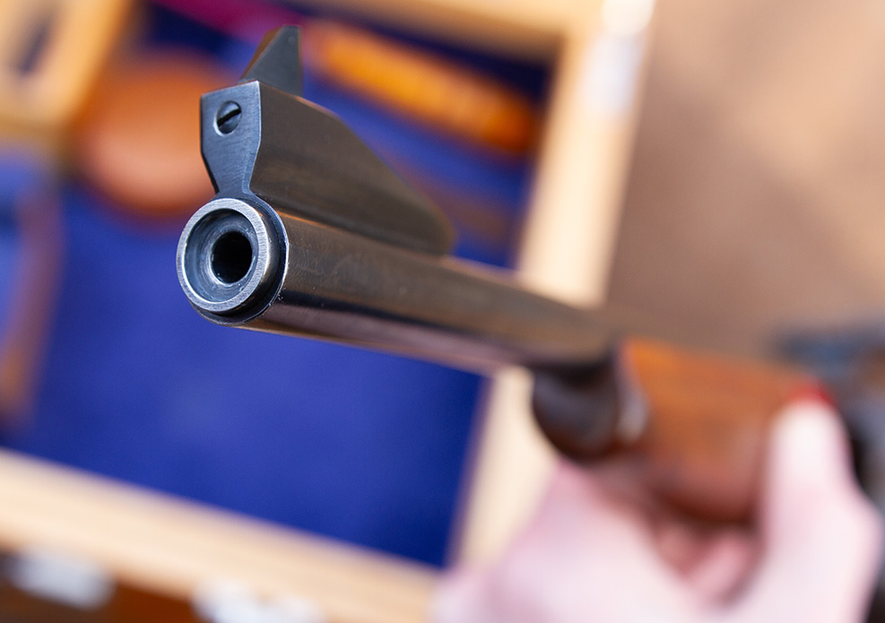 TOZ 35 Freie Pistole 22 .lfb mit Koffer - eGun